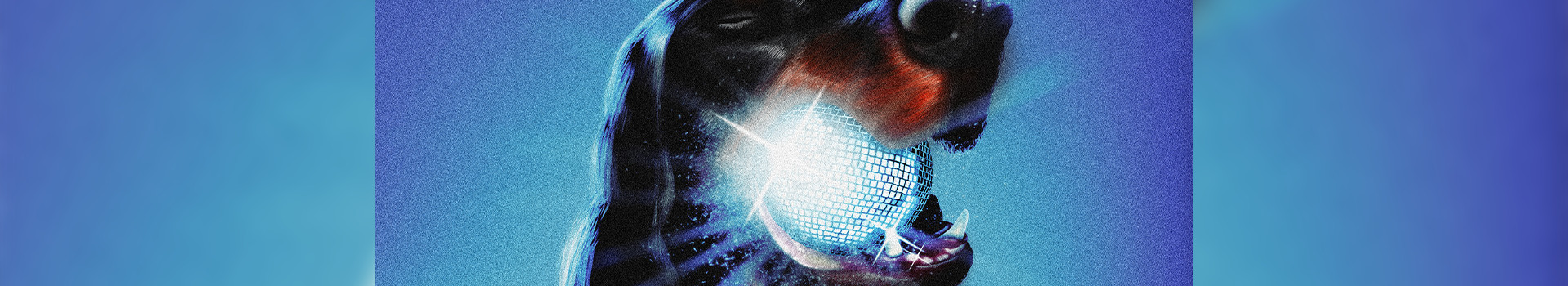 CHIEN MECHANT - "Etoile Filante" - Articles et actualités C-Lab